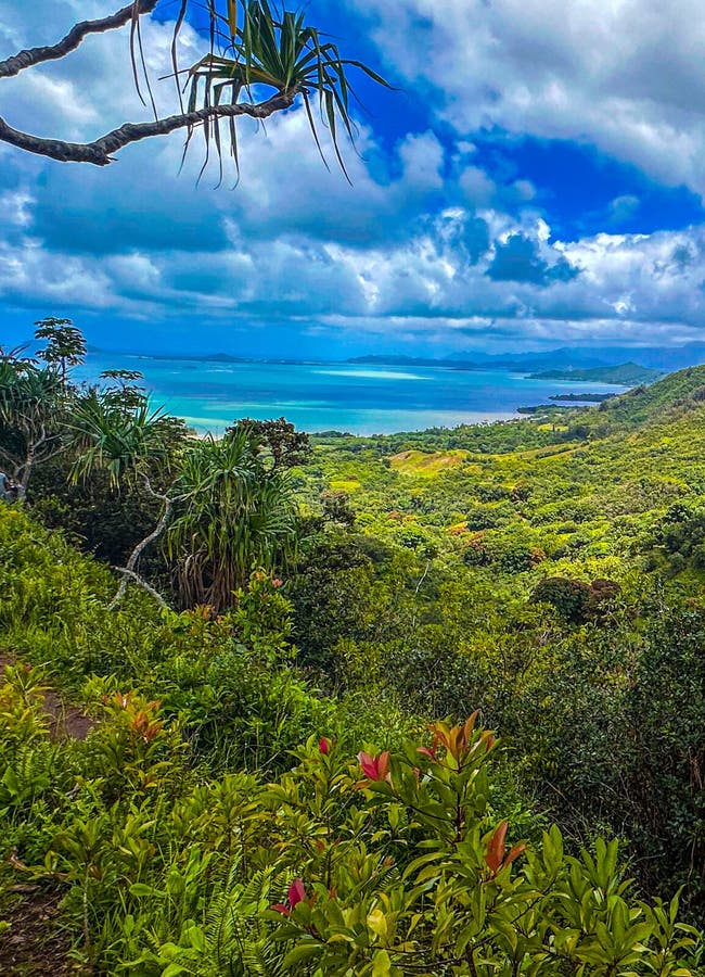Trees and Scenery on the Grounds of Kualoa Ranch on Oahu in Hawaii ...