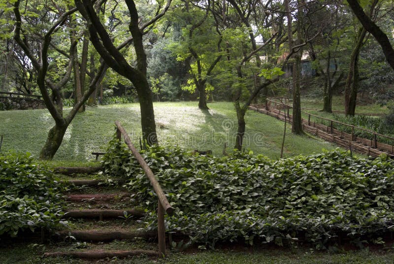 Trees in scenic park stock photo. Image of peace, countryside - 12623494