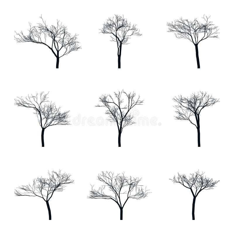 Trees Set Silhouette. Coniferous Forest. Isolated Tree on White ...