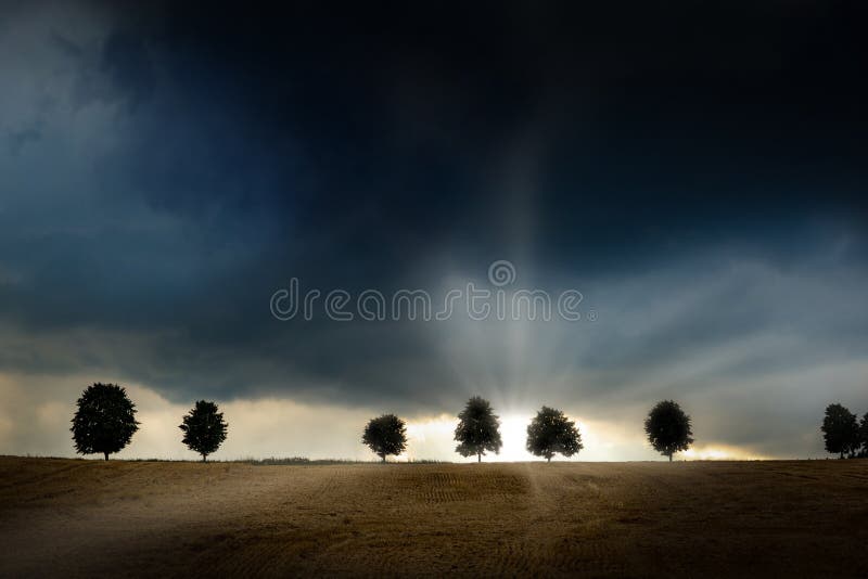 Trees during a Sever Thunderstorm. the Sun is Setting Behind the Storm ...