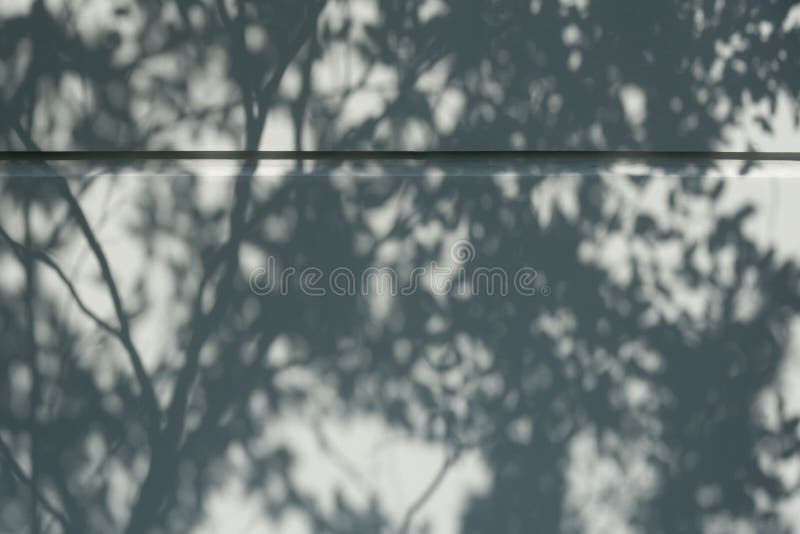 Tree Shadows background stock photo. Image of relax - 169043984