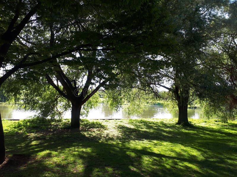 Beautiful Shadows stock image. Image of beautiful, grass - 98752459