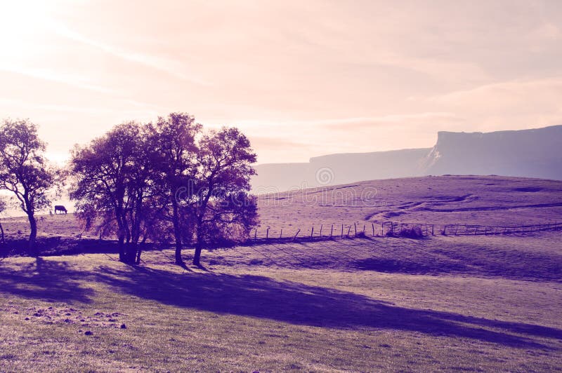 Trees and Shadows in the Meadows, with Mountains in Background Stock ...