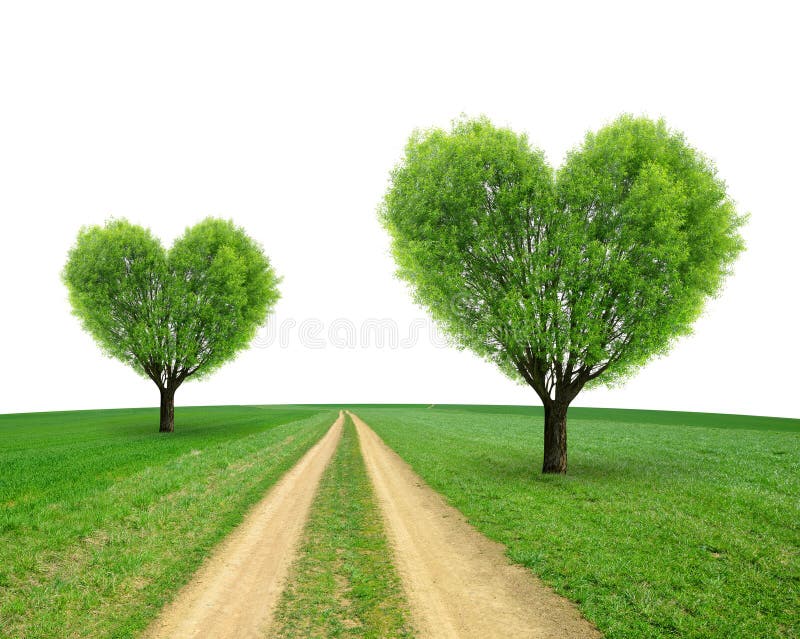 Trees in the shape heart stock image. Image of land, natural - 53871489