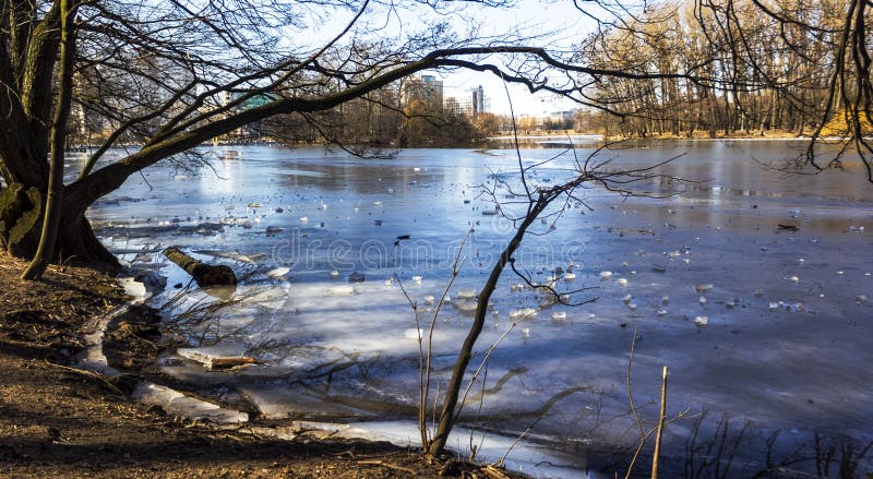 Trees on the Shore of a Frozen Lake in Spring Stock Image - Image of ...
