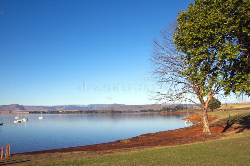 Trees on the Shore of Midmar Dam, Howick, South Africa Stock Image ...