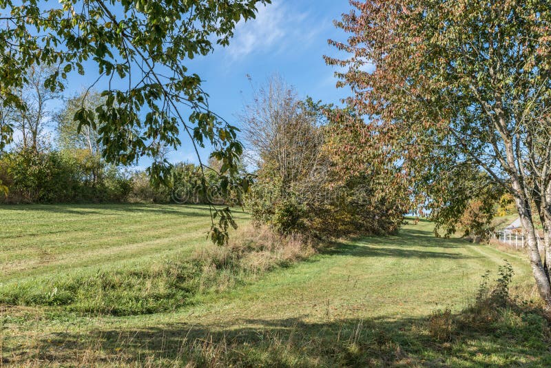 Trees, Shrubs and Meadows in a Landscape in the Bavarian Forest ...