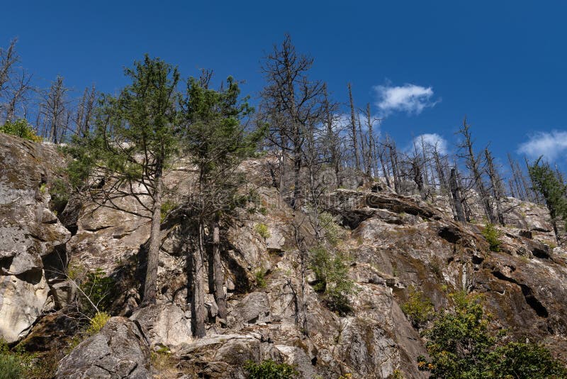 Trees on Side of a Rocky Cliff Stock Image - Image of diablo, city ...