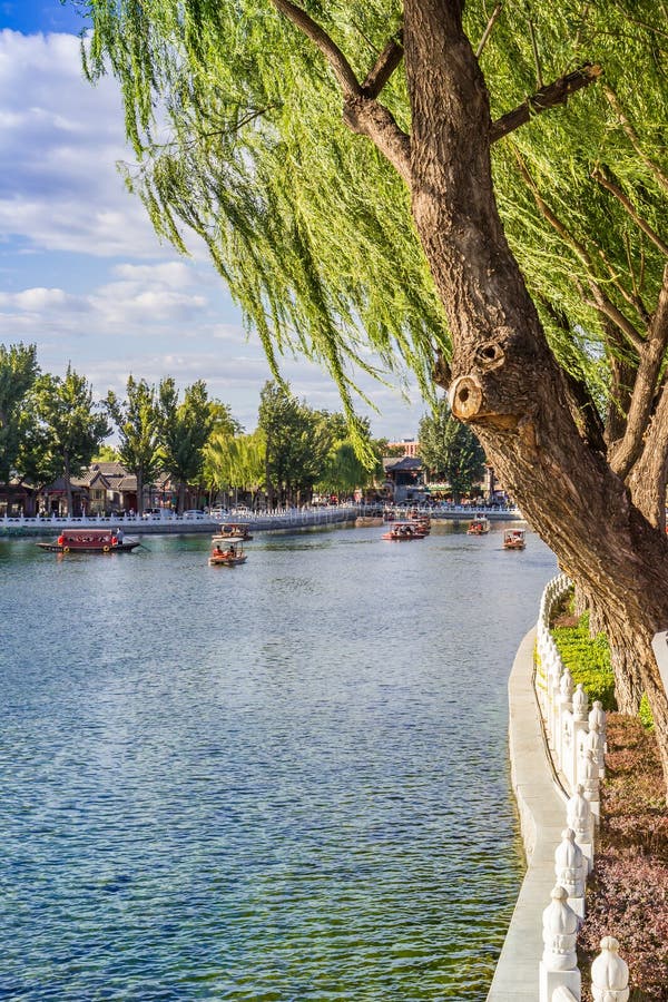 Trees on the Side of the Qianhai Lake in Beijing Stock Photo - Image of ...