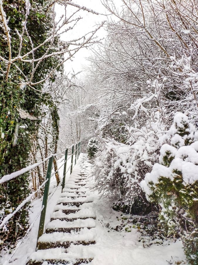 Trees on the Side with Snow Stock Photo - Image of season, side: 139352616