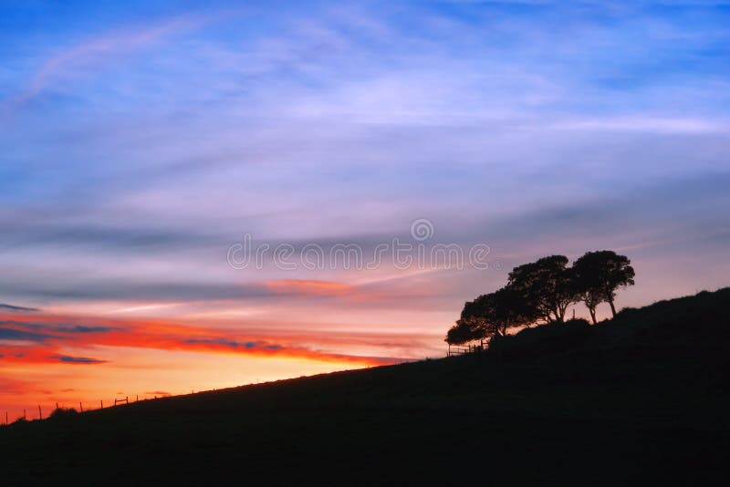 Trees Silhouette Against Sunset Sky Stock Photo - Image of trees, color ...