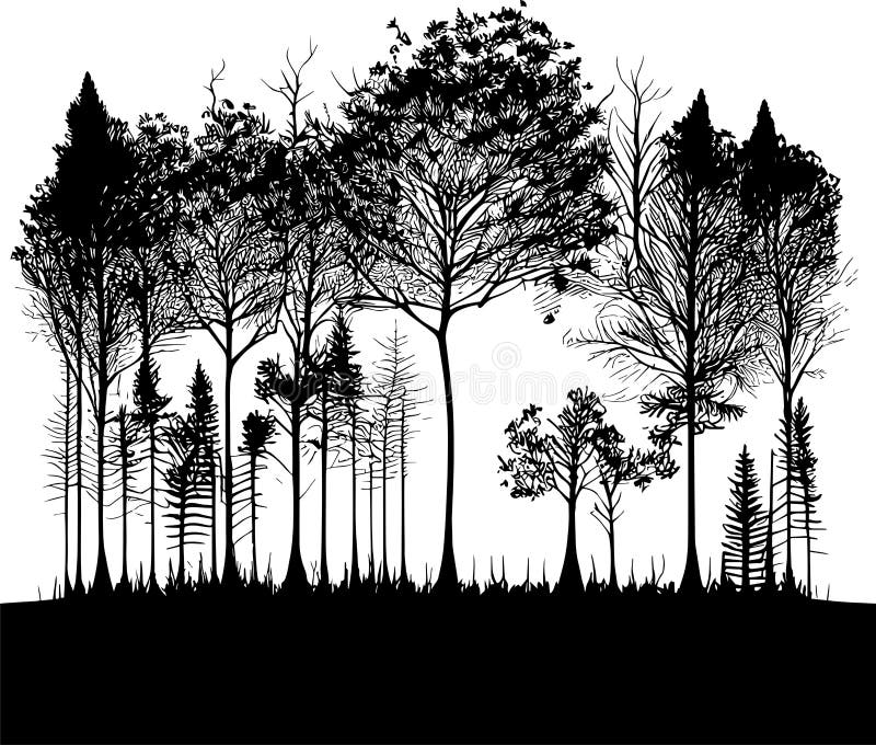 Trees Silhouette Black Color Logo Stock Vector - Illustration of vector ...