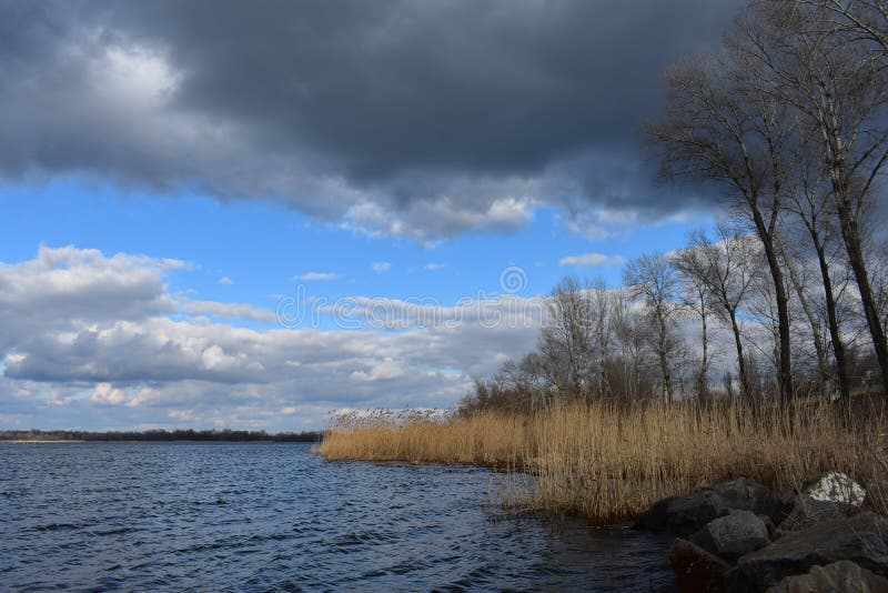 Trees Silhouette in Cloudy Winter Day Stock Photo - Image of ...