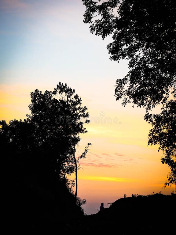Trees Silhouette before the Sunrise Stock Image - Image of yellow, view ...