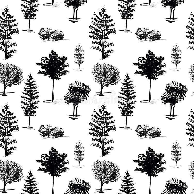 Trees, Sketch Pattern. Hand Painted Black Trees on White Background ...
