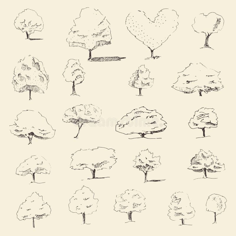 Trees Sketch Set, Vintage Vector Style, Hand Drawn Stock Vector ...