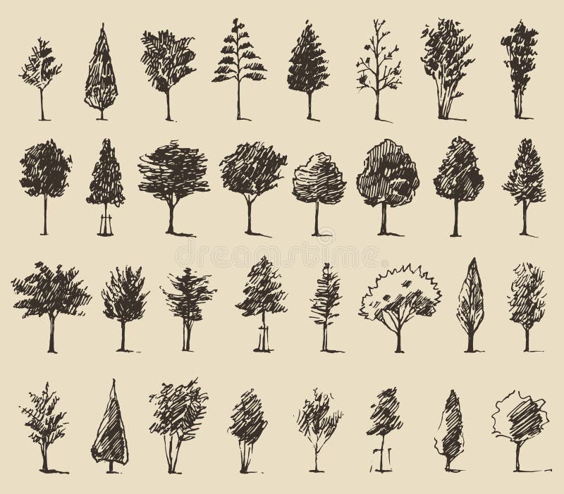 Trees Sketch Set, Vintage Vector Style, Hand Drawn Stock Vector ...
