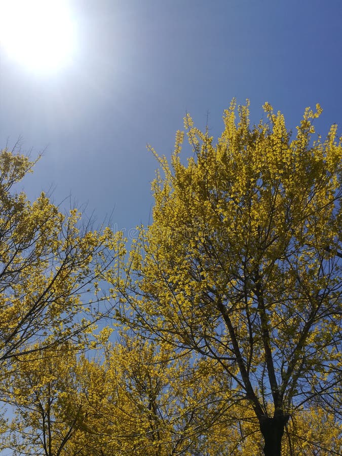 298 Two Minds Stock Photos - Free & Royalty-Free Stock Photos from ...