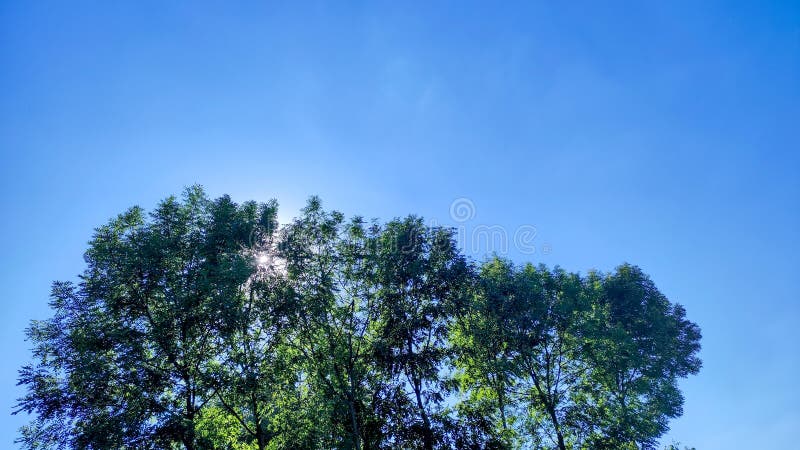 Trees and Sky. Beautiful Landscape with Trees and Sky Stock Image ...
