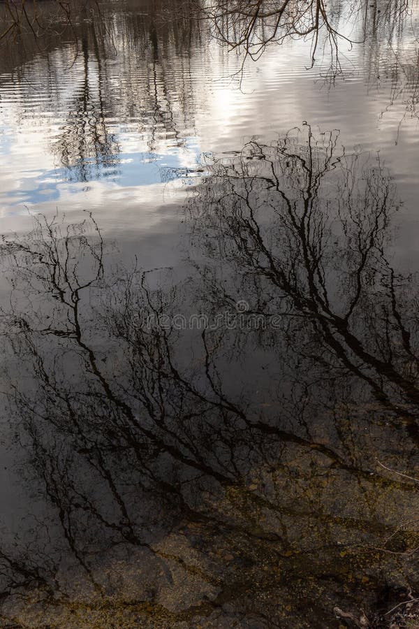 Trees, Sky and Clouds Reflections on Water Stock Image - Image of ...