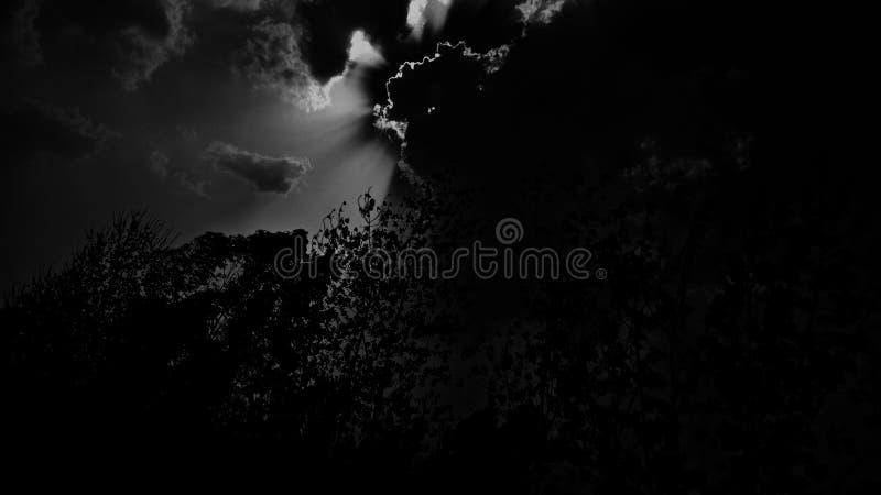 Trees sky dark light moon stock photo. Image of beautiful - 90171456
