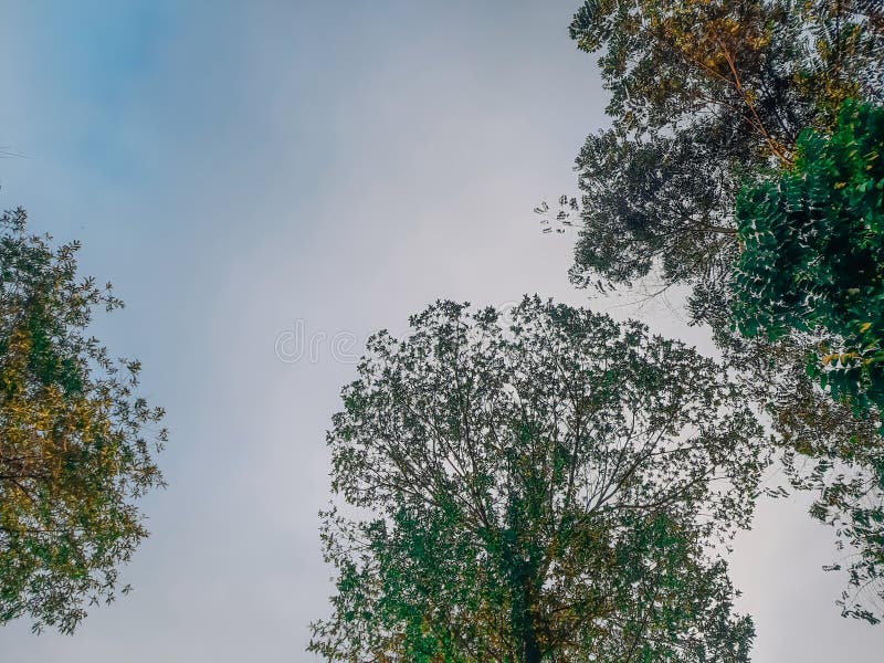 Noon Cool Bright Holiday Green Blue Stock Photos - Free & Royalty-Free ...