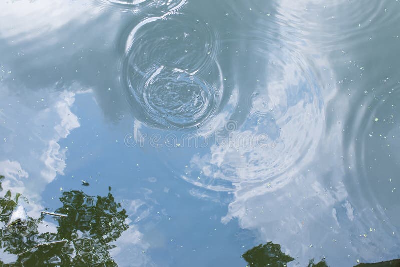 Trees and Sky Reflect Water Stock Photo - Image of reflect, vintage ...