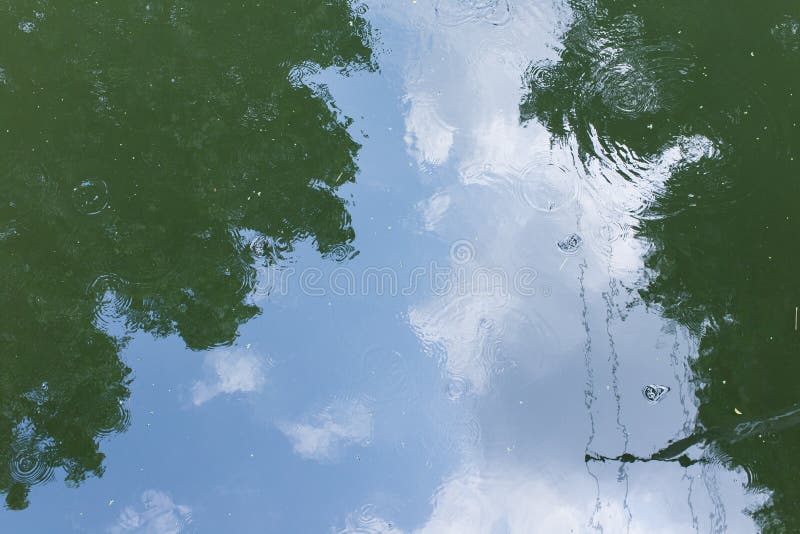 Trees and Sky Reflect Water Stock Image - Image of fresh, religion ...