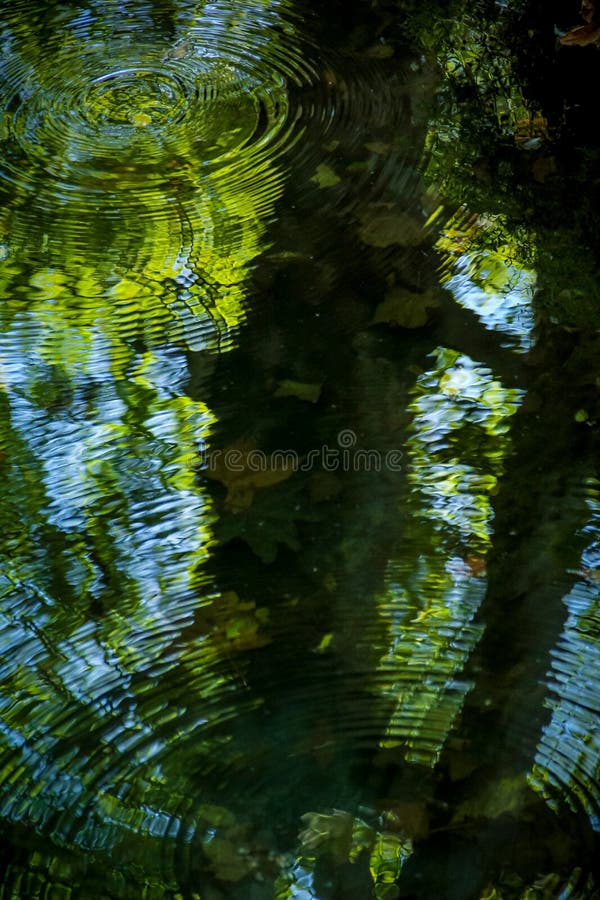 Water Reflection Ripples in the Forest Lake Stock Photo - Image of ...