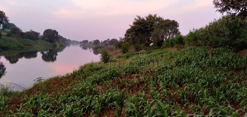Evening scenery stock photo. Image of trees, silence - 133979708