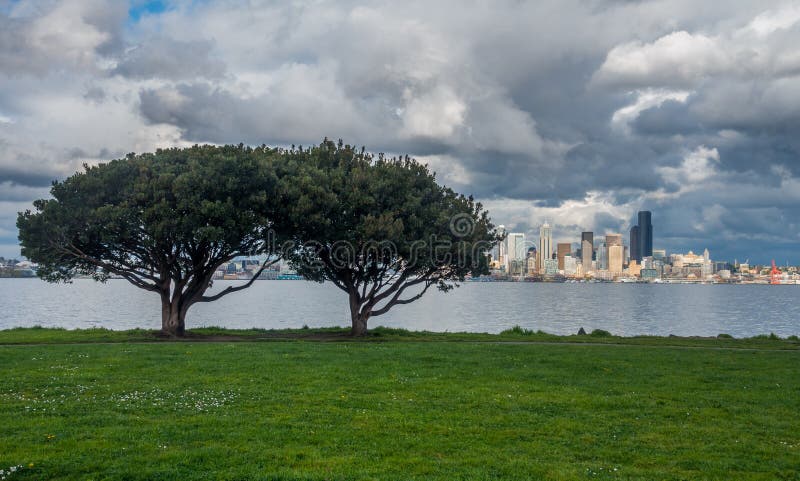 Trees and Skyline stock image. Image of skyline, architecture - 69956151