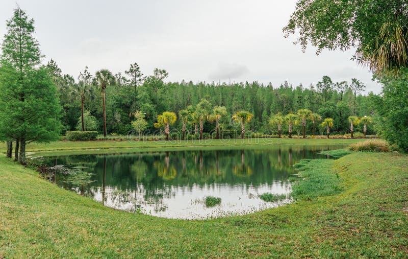 Trees and a Small Pond Form Perfect Reflection at Sunset Stock Photo ...