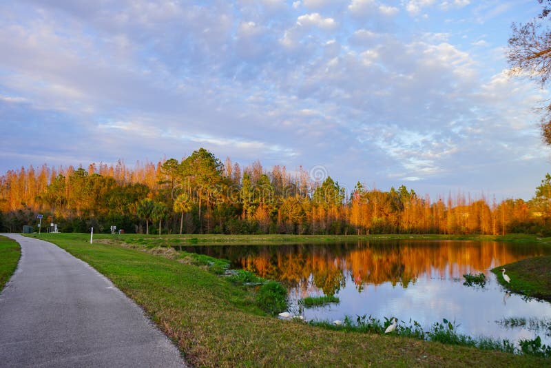 Trees and a Small Pond Form Perfect Reflection at Sunset Stock Image ...