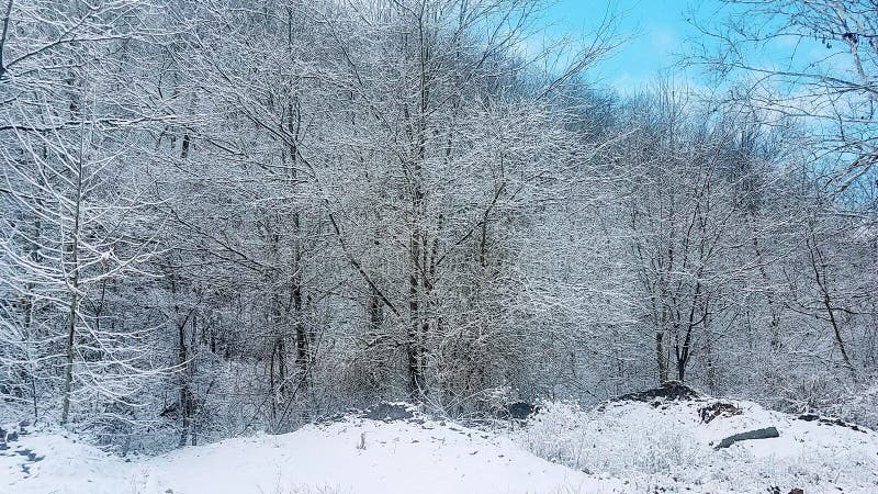 Winter scenes stock photo. Image of scenes, winter, covered - 113687008