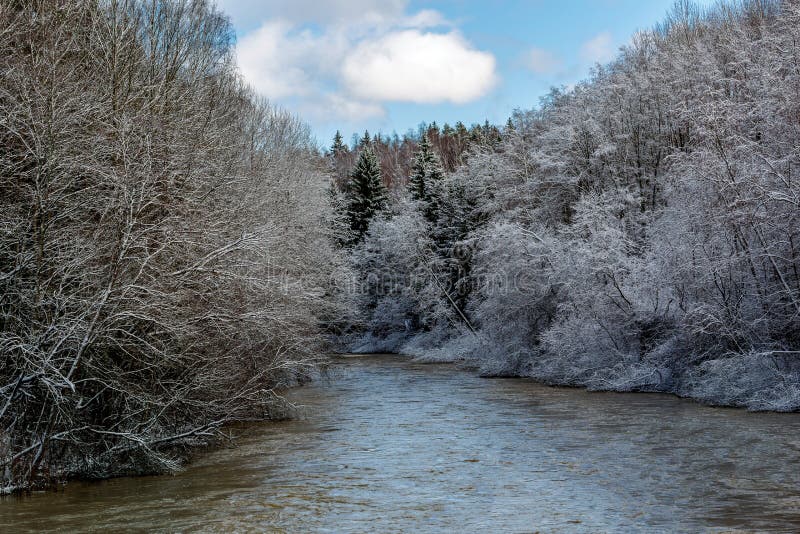 Trees in snow stock photo. Image of snowy, beauty, winter - 67341796