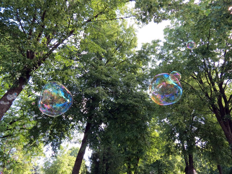 Trees and Soap Bubbles, Lithuania Stock Photo - Image of colorful ...