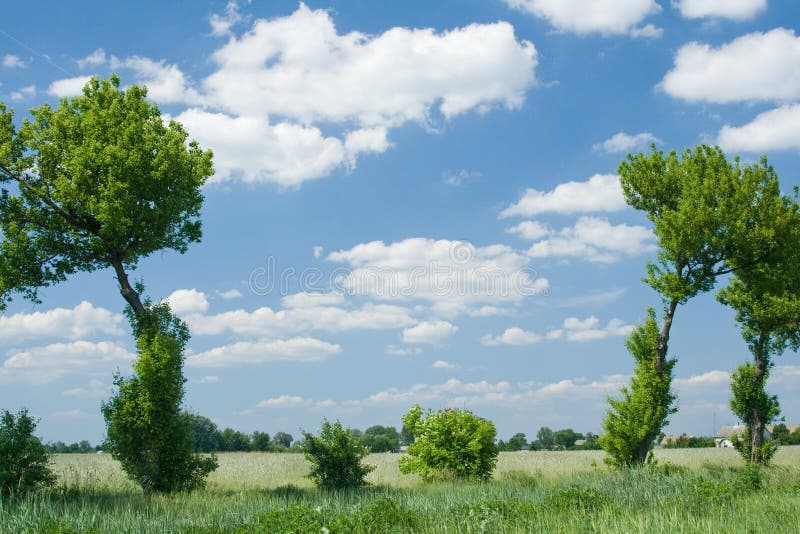 Trees and space stock image. Image of clouds, gostynin - 2868239