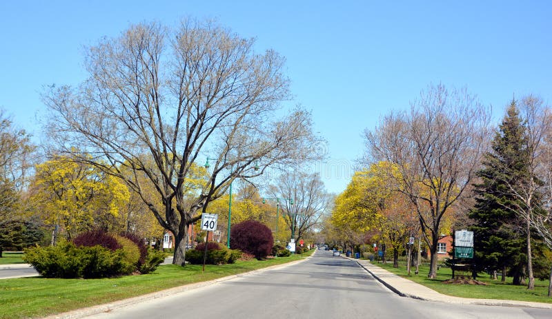 Trees in spring season editorial stock photo. Image of grow - 182979298