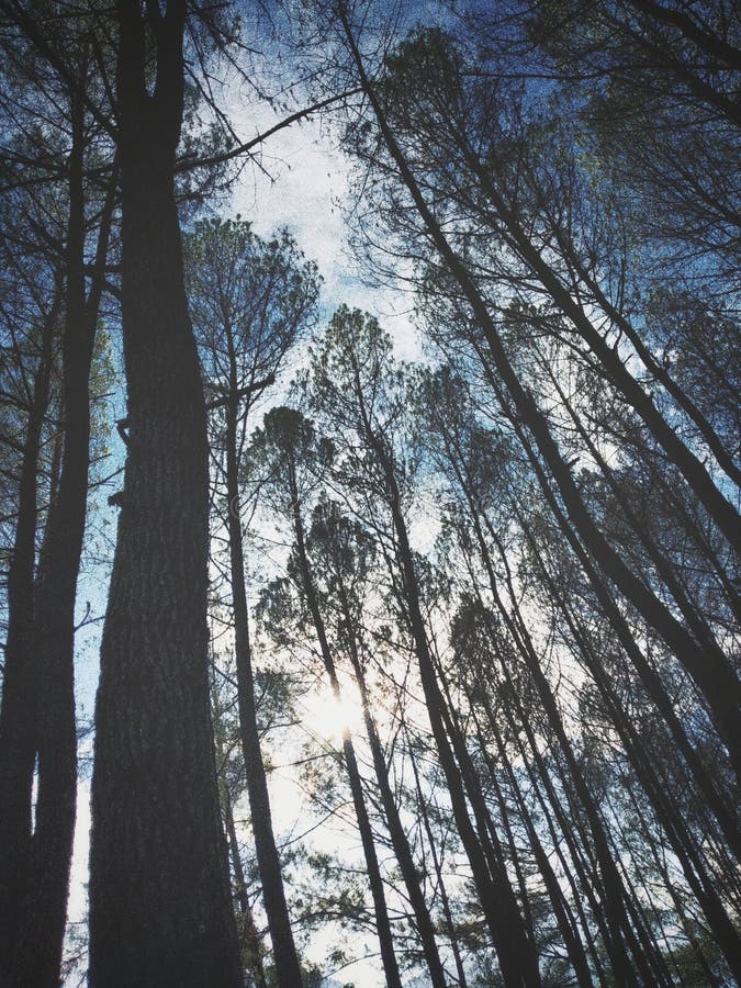 Stand firm like a rock stock photo. Image of east, stand - 213408378