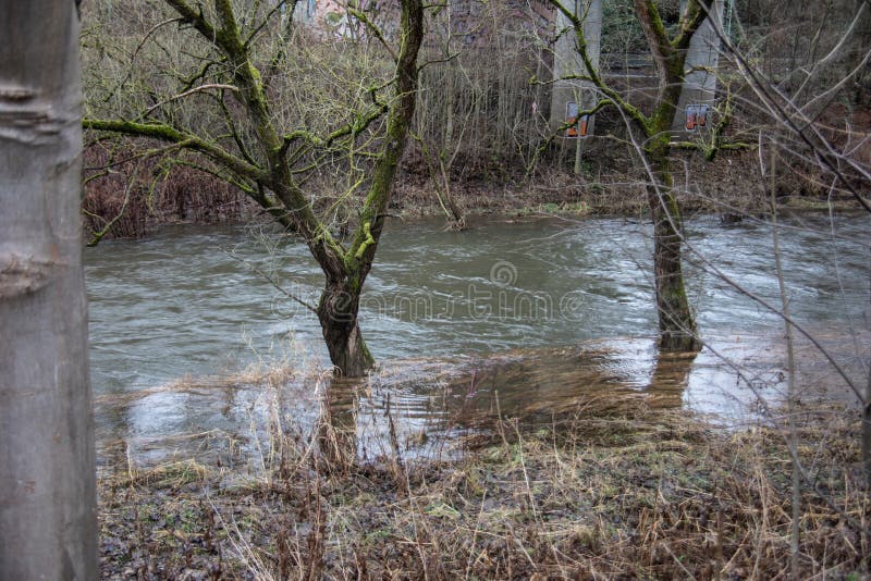 Trees Stand in the River Bed when the Water is High Stock Photo - Image ...