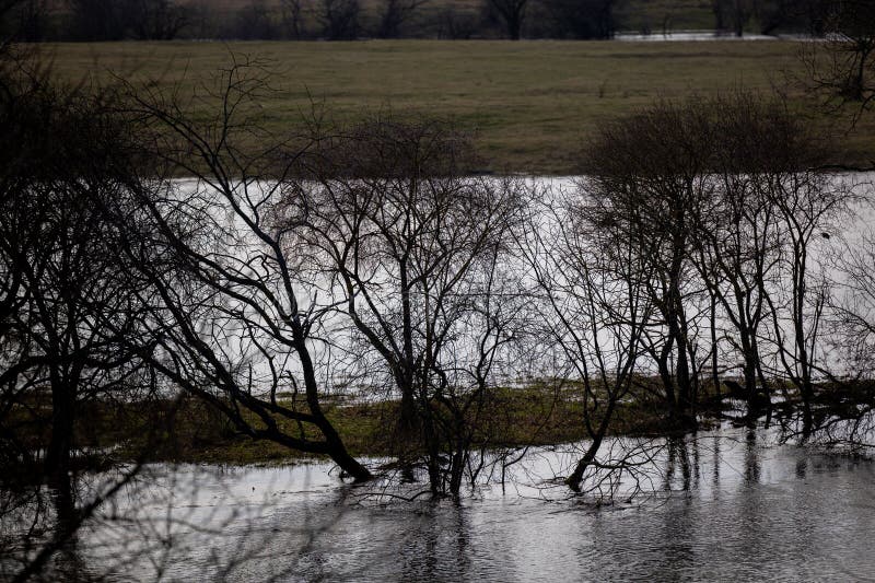 Trees Stand in the Water Spring Flood, Reflections Stock Image - Image ...