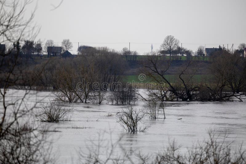 Trees Stand in the Water Spring Flood, Reflections Stock Photo - Image ...