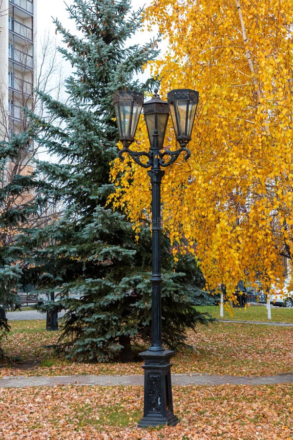 Trees Standing in Front of a Multi-storey Building Stock Image - Image ...
