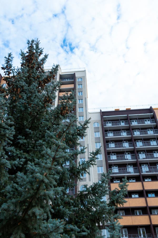 Trees Standing in Front of a Multi-storey Building Stock Image - Image ...