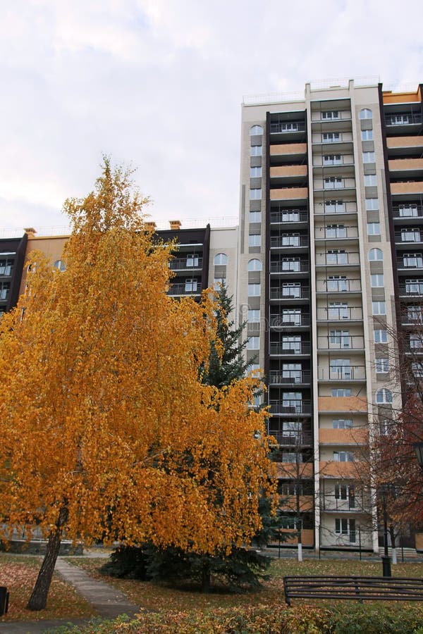 Trees Standing in Front of a Multi-storey Building Stock Image - Image ...