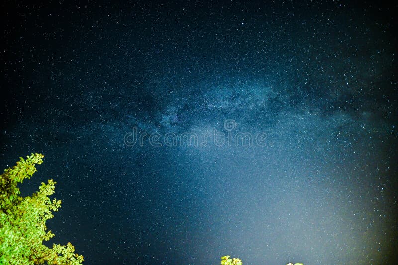 Trees and a Starry Sky Over it at Night Stock Image - Image of nature ...