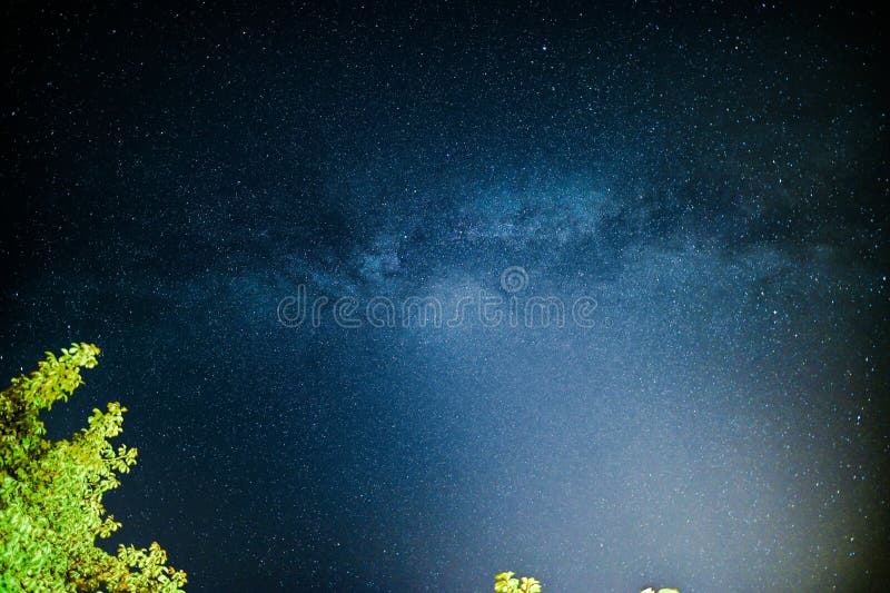 Trees and a Starry Sky Over it at Night Stock Image - Image of night ...