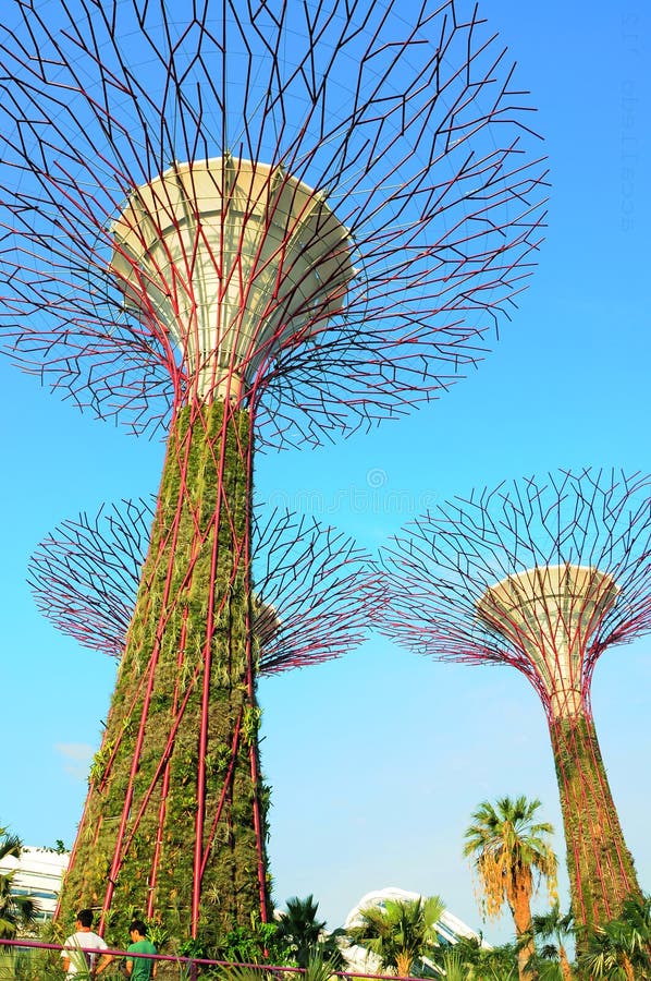 Trees of steel editorial stock image. Image of grass - 205073789