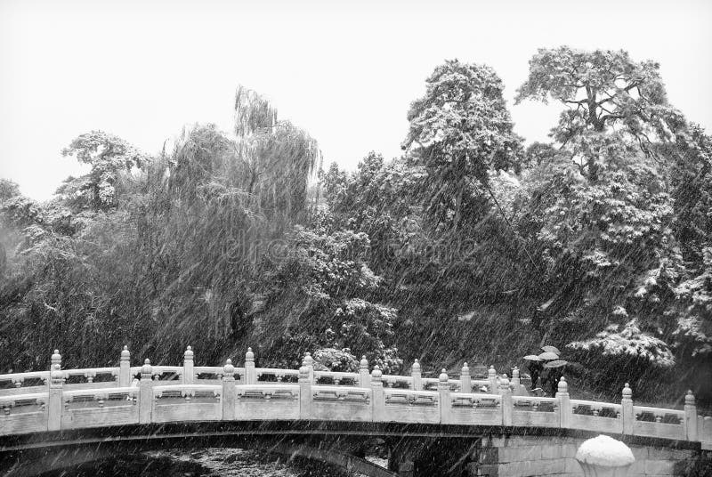 Trees and Stone Bridge in Snow Stock Photo - Image of travel, seansons ...