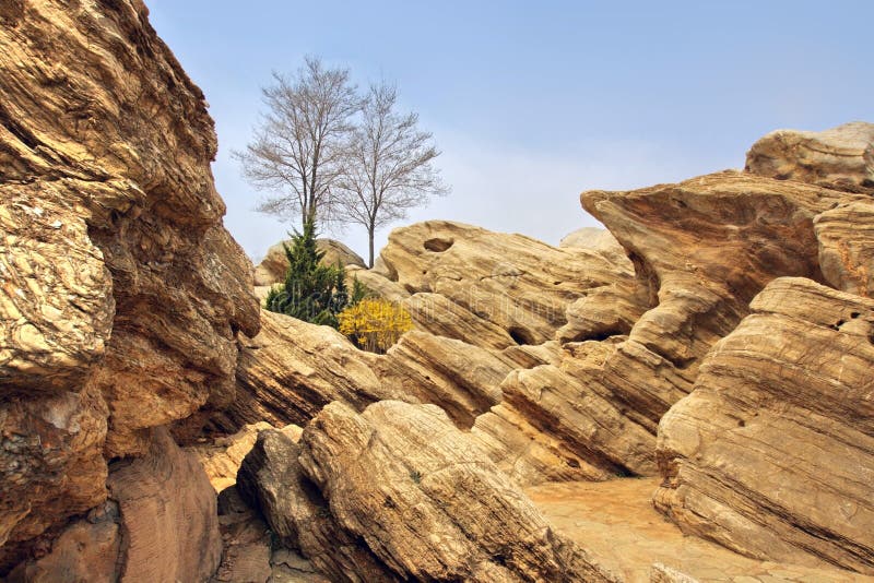 Trees and stones stock image. Image of horizontal, national - 14622067